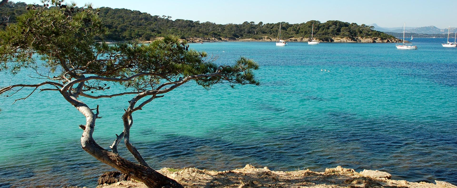 CAF du Var : contact | Mes-Allocs.fr